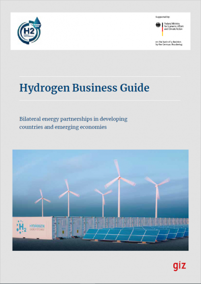 H2 Business Guide: Algeria, Brazil, Chile, Morocco, Mexico, South ...